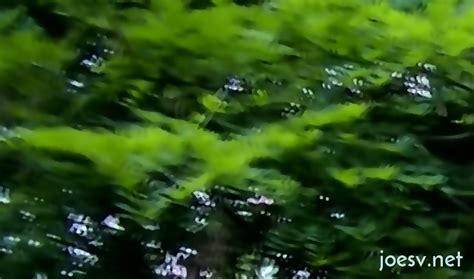 Butt Fucking And Video Taping Eporner