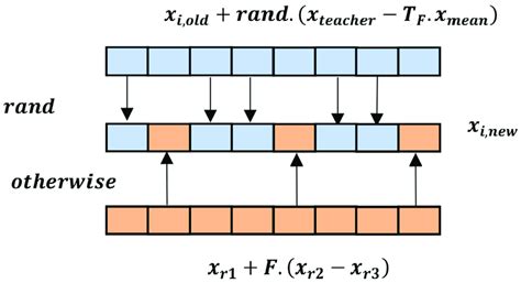 Diversity Enhanced Teaching Strategy Download Scientific Diagram