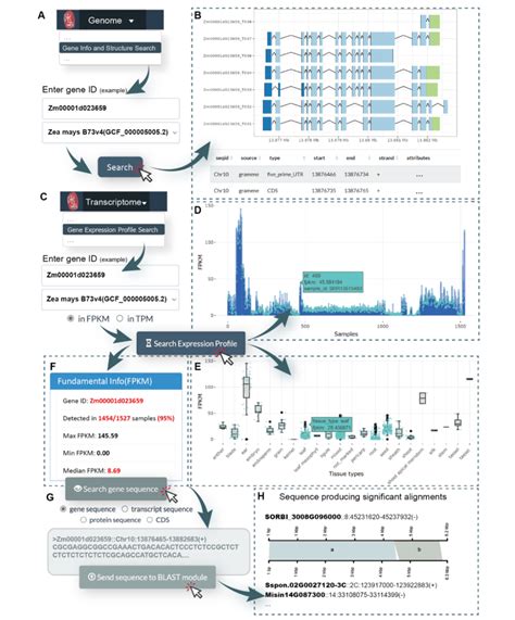 Mining Differentially Expressed Genes In Response To Heat Stress
