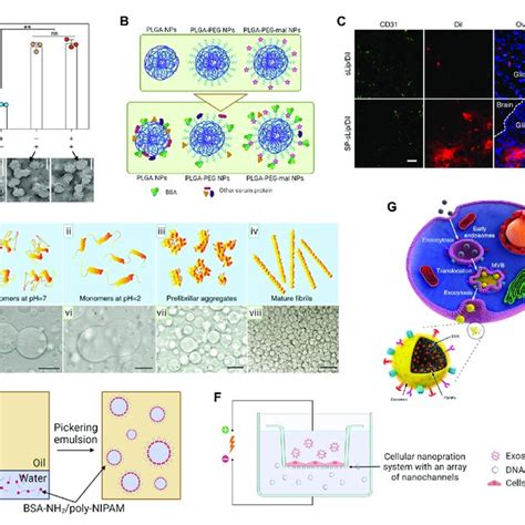 Some Examples Of Surface Modification Techniques Of Different Type Of