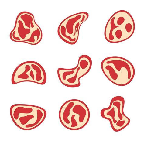 Steak Beef Food Free Vector Premium Vector