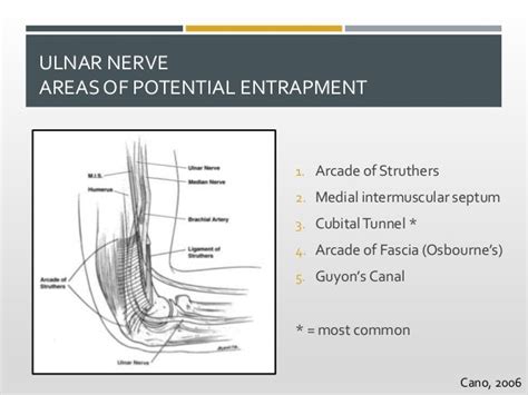 Manual Ulnar Nerve Glides