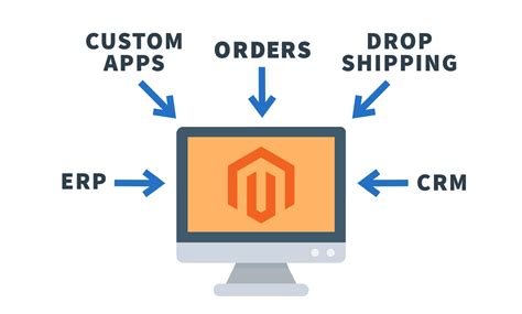 Whats An API To Magento And How Can It Help Me Blue Stingray
