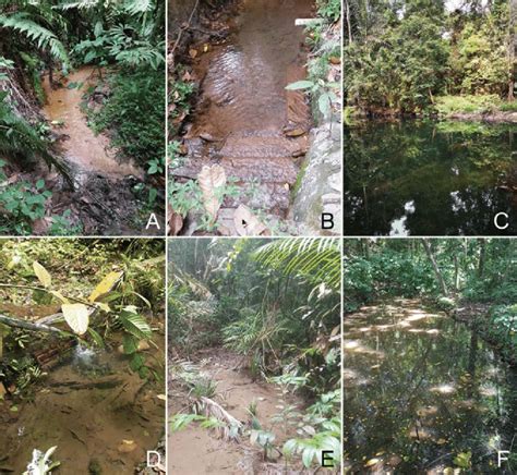 Photos Of Stream Sites A Stream 1 B Stream 2 C Stream 3 Showing
