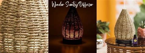 Wonder Wicker Scentsy Diffuser