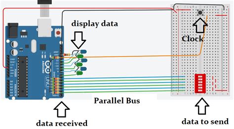 Protocols Mr Frey Rmss