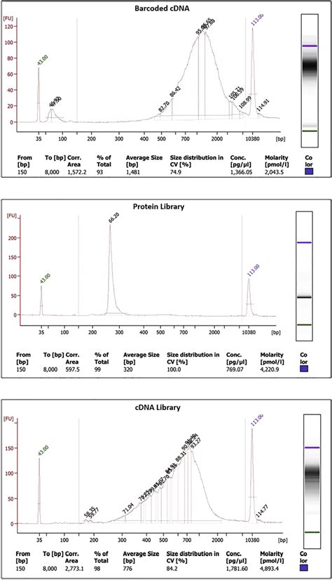 Example Bioanalyzer Results For The Barcoded Cdna Top Protein Download Scientific Diagram