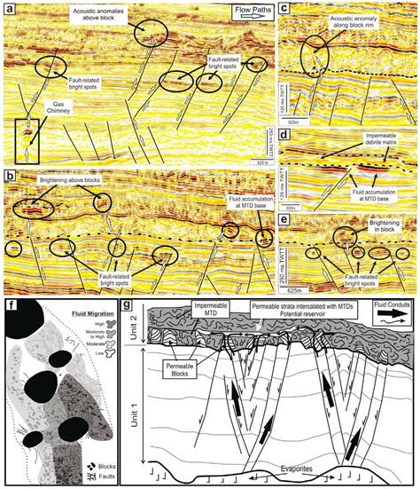 A E Acoustic Anomalies In The Seismic Data Evidence The Presence Of Download Scientific