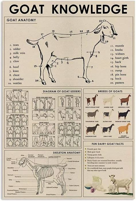 Best 13 What To Feed Your Goats Artofit