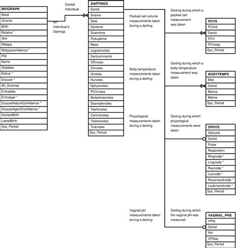 Database Table Relationship Diagram