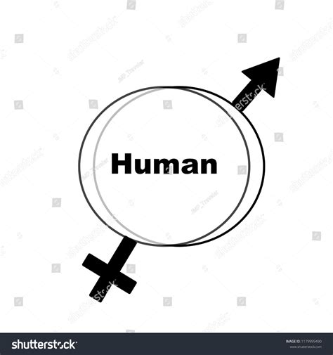 Venn Diagram Women Men How Differences Stock Illustration Shutterstock