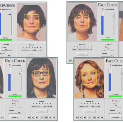 Histogram Equalization Download Scientific Diagram