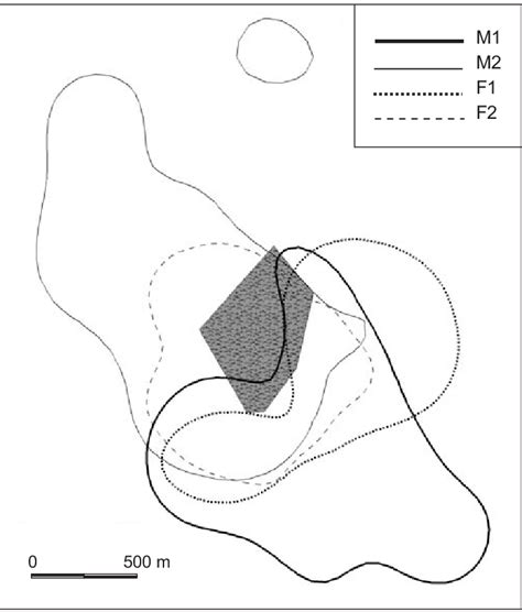 Spatial Distribution Of Home Ranges 95 Kernel Estimator Of 4 C Download Scientific Diagram