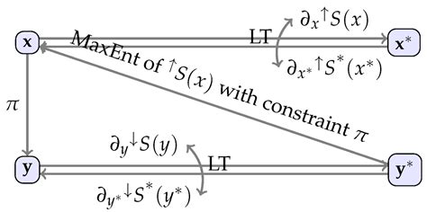 Dynamic Maximum Entropy Reduction