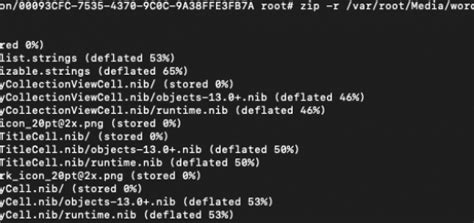 Decrypting Ios Apps Essentials
