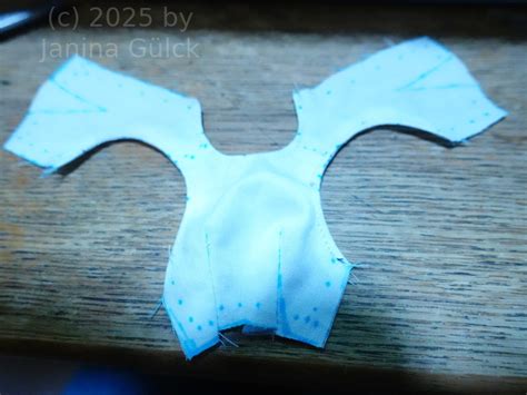 Pattern Prototype Development For Francie A Step By Step Guide