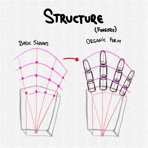 How To Draw Hands A Step By Step Tutorial Artlex 2023