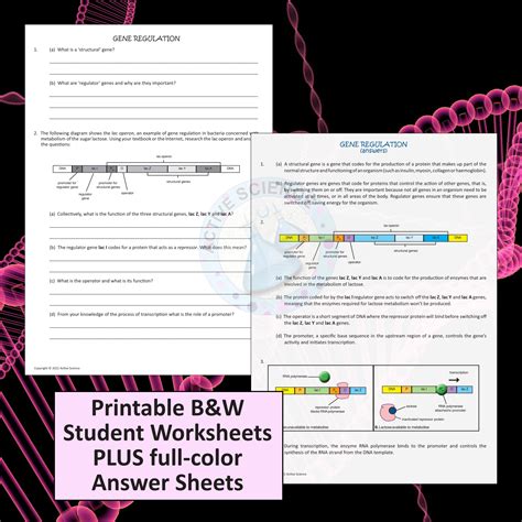 Gene Expression And Regulation US Edition Made By Teachers