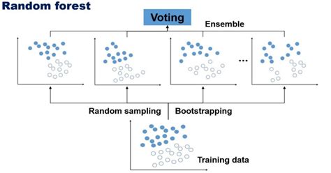 Modeling Process Of Random Forest Algorithm Download Scientific Diagram