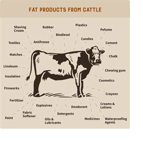 8 Amazing Beef Tallow Benefits And How To Make It