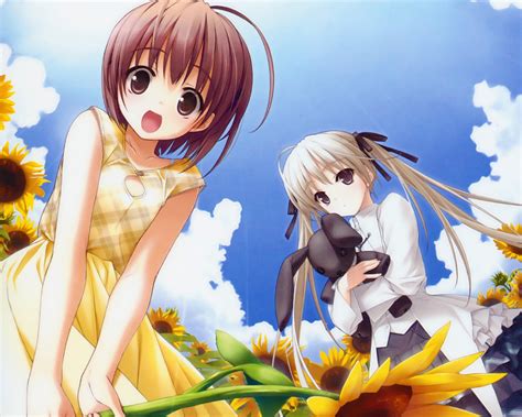 缘之空 壁纸 哔哩哔哩