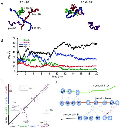 Md Simulation Of B End System All Atom Md Simulation For The Duration