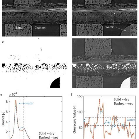 X Ray Micro Computed Tomography Cross Section Tomographs Of The Download Scientific Diagram