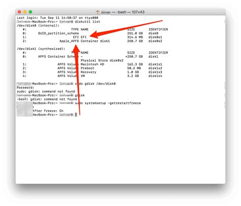 How To Fix A Broken Efi Partition Best Reviews