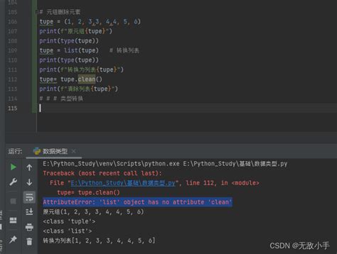 python不可变类型之元组tuple 元组是不可变类型 csdn博客