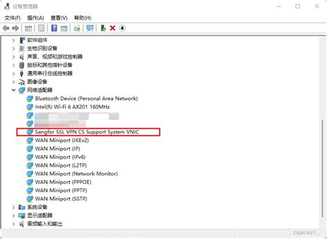 easyconnect连接成功，但是无法访问指定网址 easyconnect无法访问内网 csdn博客