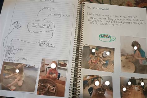 Does Your Programming Diary Support Critical Reflection Butler Diaries