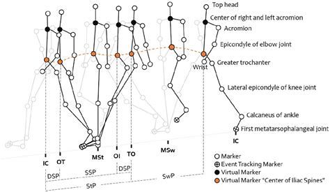 Figure 1 From Backward Walking Styles And Impact On Spatiotemporal Gait Characteristics