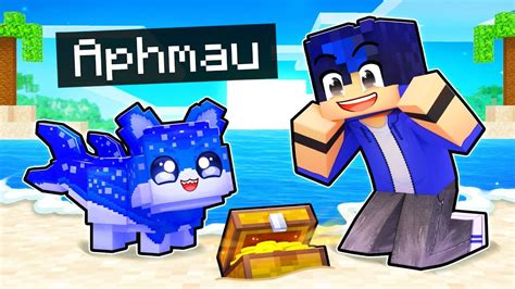 Playing Minecraft As A Helpful Shark Kitten Artofit