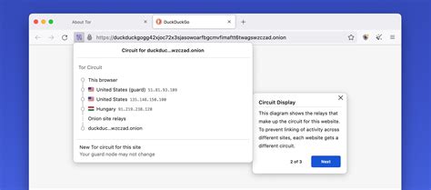 How To Use Tor For MacOS Surveillance Self Defense