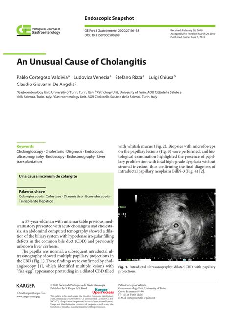 PDF An Unusual Cause Of Cholangitis