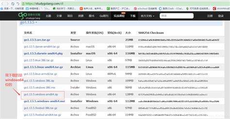 Go语言开发工具vscode安装及go语言环境变量配置 Csdn博客
