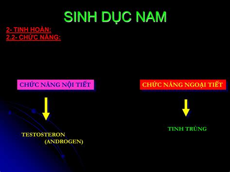2 SINH DỤC NAM pptjfdjnv dlfkdnvjdvnjnv PPT