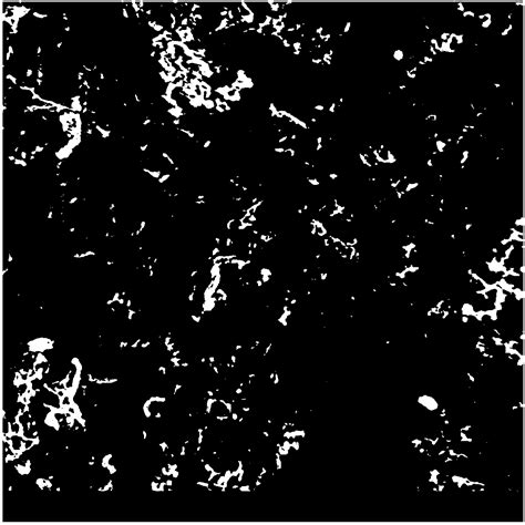 Preparation Method Of N Doped Carbon Nanotubenickel Cobalt Oxiden Doped Porous Carbon Eureka
