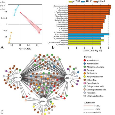 A Principal Coordinate Analysis Pcoa Of The Microbial Taxonomic Download Scientific Diagram