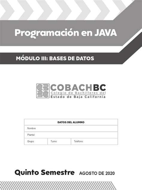ProgramaciÓn En Java Módulo Iii Bases De Datos 2020 2 Pdf