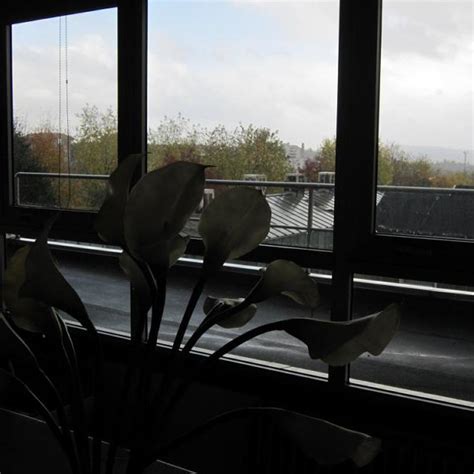 One Dimensional Signal Processing A The Original Signal B The Download Scientific Diagram