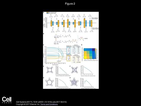 incoherent inputs enhance the robustness of biological oscillators