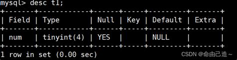 MySQLMySQL数据类型 unsigned tinyint CSDN博客