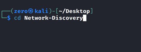 GitHub Wizz117 Network Discovery