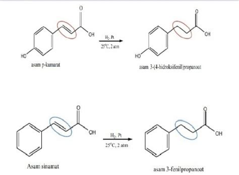 Fenilpropanoid