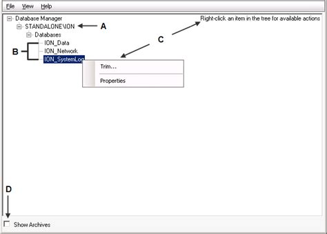 database manager interface