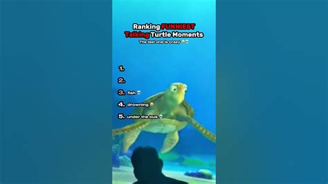 Ranking FUNNIEST Talking Turtle Moments 😭💀 - YouTube
