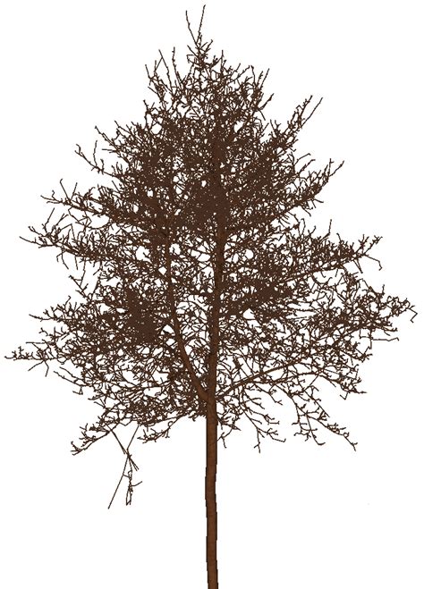 A Acorn Automatically Segmented Into Dense And Sparse Regions B