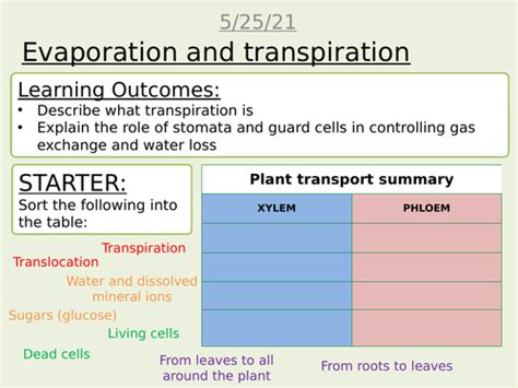 Aqa Combined Science Trilogy Biology Gcse Topic 2 B3 B4 Organisation Teaching Resources