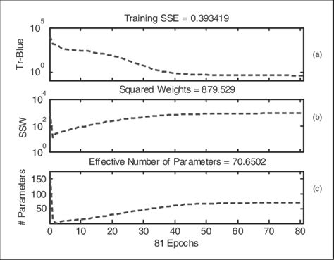 Plot Network Performance For Bayesian Regularization Training A The